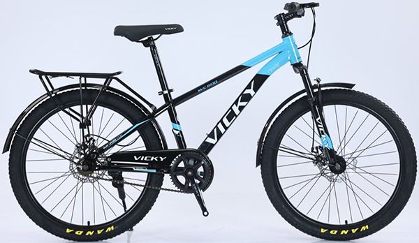 Mua bán Xe đạp địa hình thể thao Vicky VC600 2024 giá rẻ, chính hãng