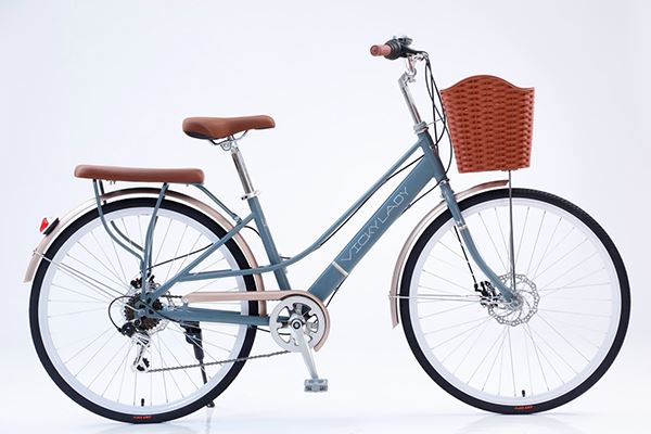 Mua bán Xe đạp nữ Vicky Lady giá rẻ, chính hãng